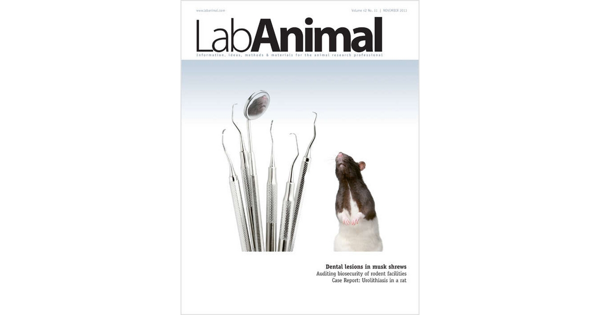 Lab Animal, Free Lab Animal Subscription Subscription