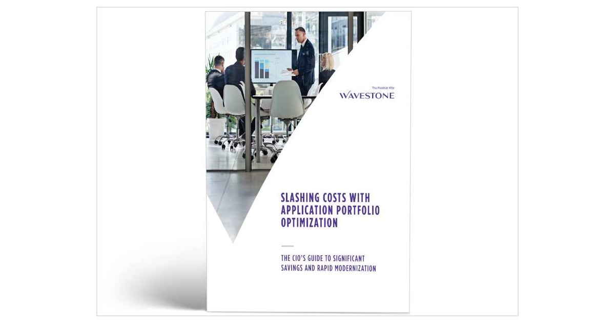 Slashing Costs with Application Portfolio Optimization Free White Paper