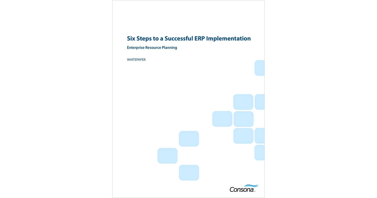 Six Steps to a Successful ERP Implementation Free White Paper