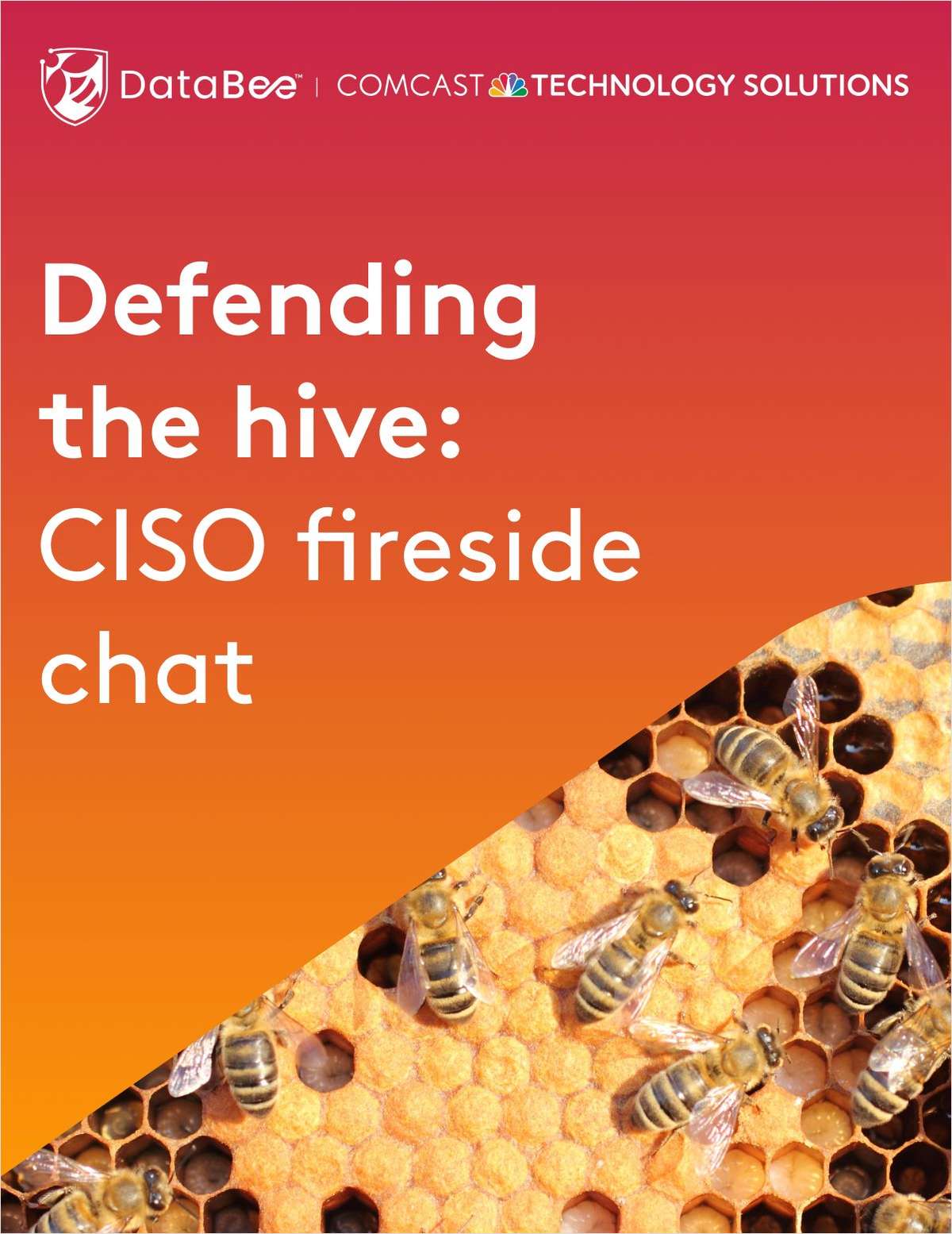 Defending the Hive - CISO fireside chat, Free Comcast Technology ...