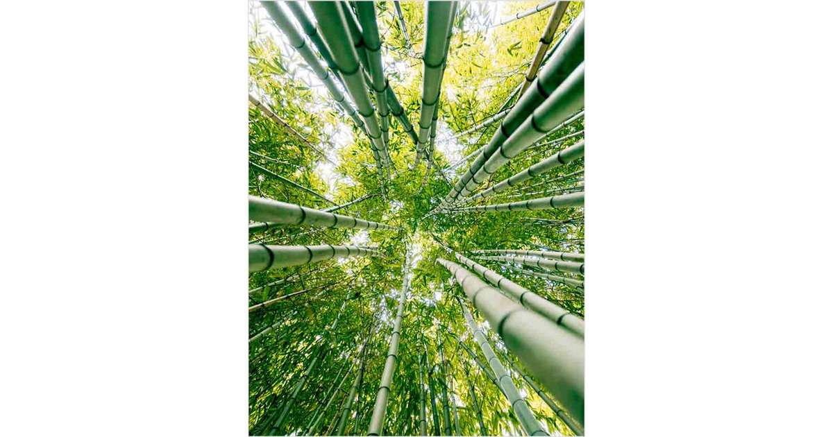 A call to action for building resilient portfolios, Free Fidelity Guide
