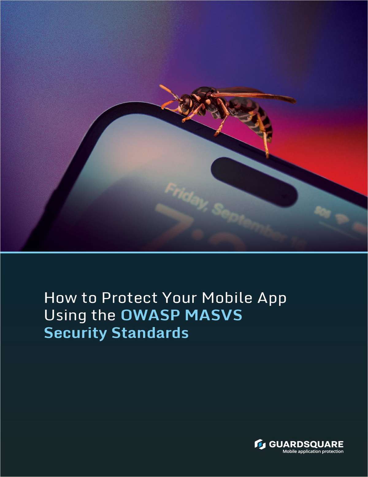 Using the OWASP MASVS Security Standards Free eBook