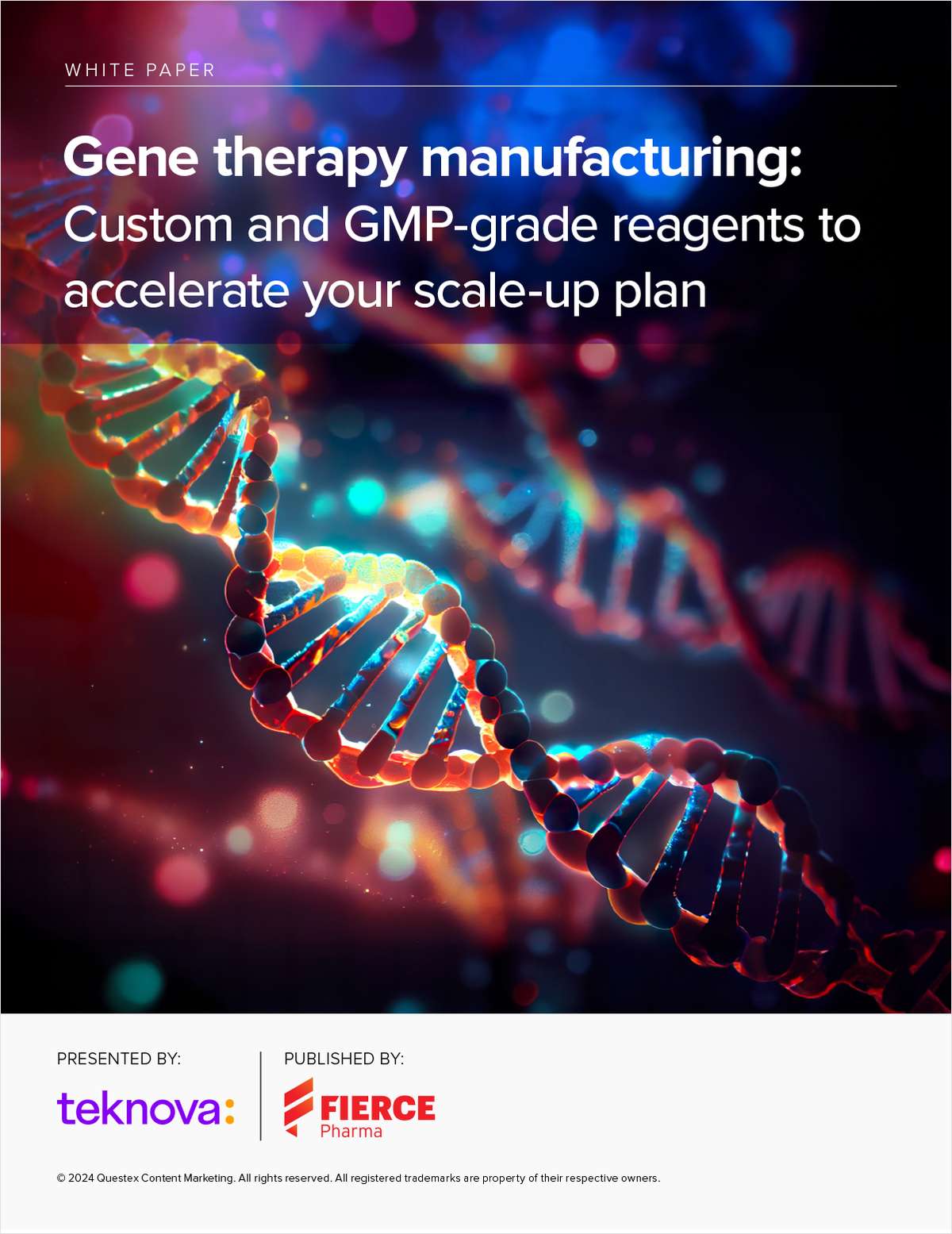 Gene therapy manufacturing: Custom and GMP-grade reagents to accelerate ...