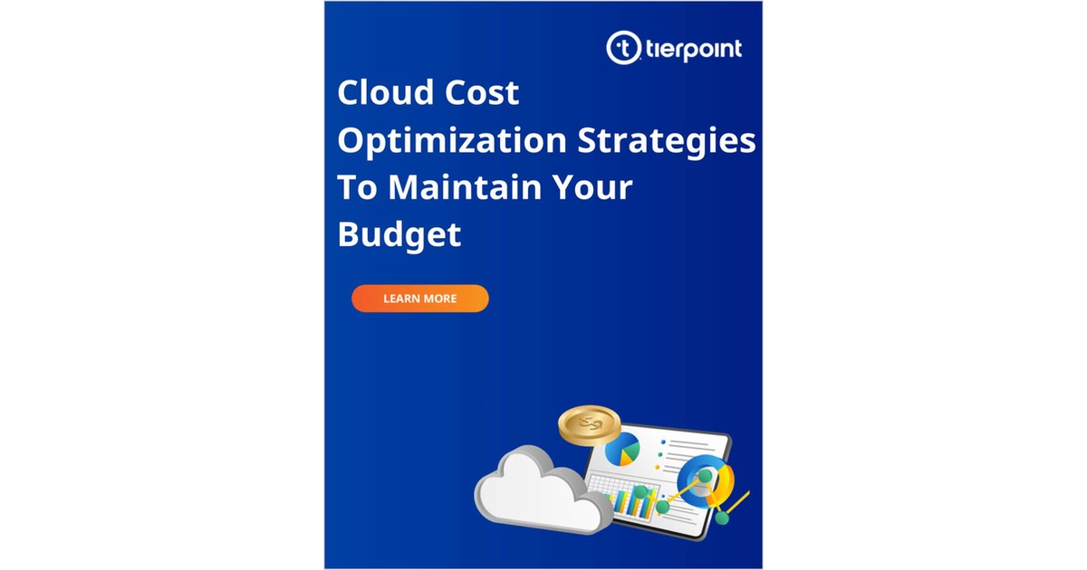 Cloud Cost Optimization Strategies To Maintain Your Budget, Free TierPoint Blog